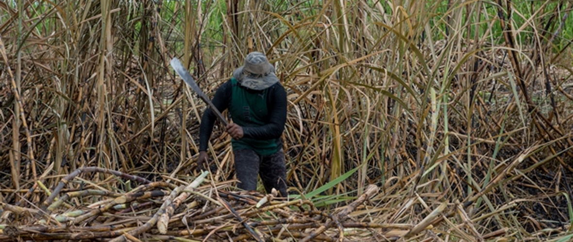 $6B allocated to further advance GuySuCo’s production, operational ...