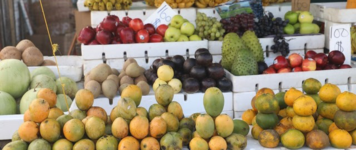 Guyana earns over $900M in export of non-traditional crops - Ministry ...